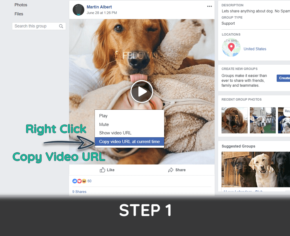 Télécharger les Vidéos Privées de Facebook